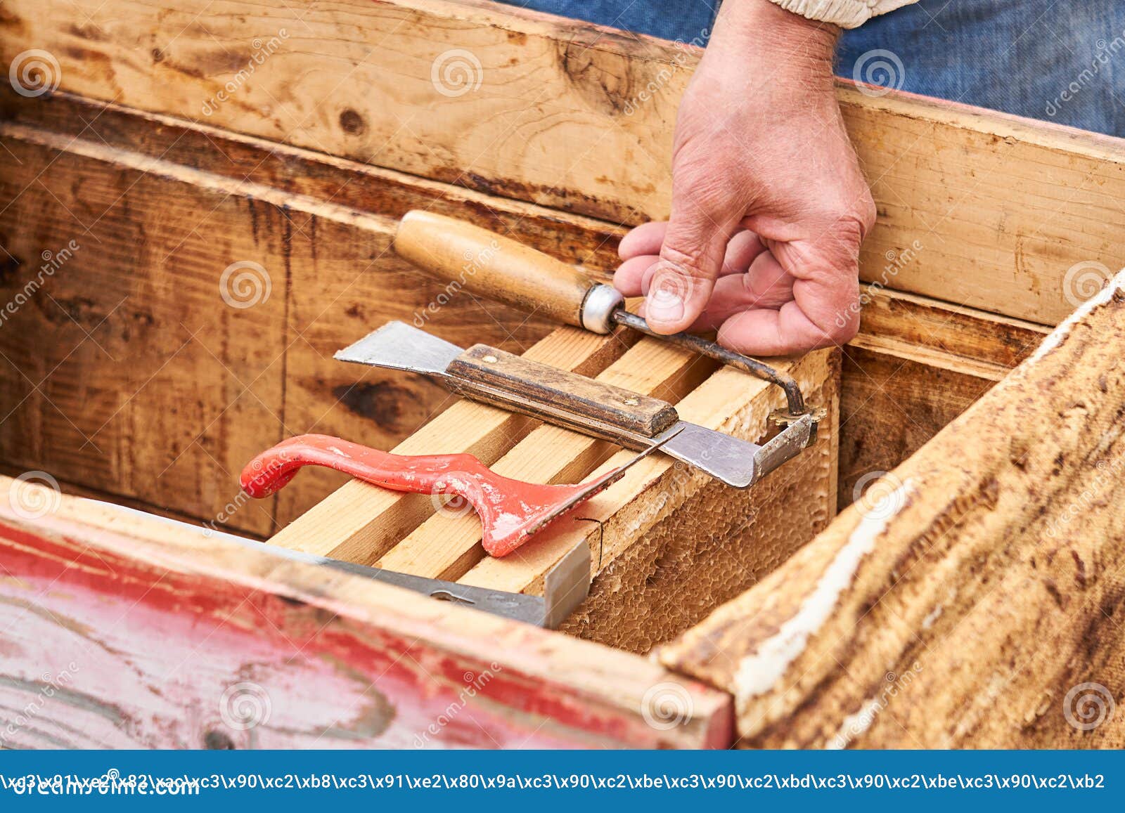 Beekeeper Tools and His Hand on the Background of an Open Hive Stock ...
