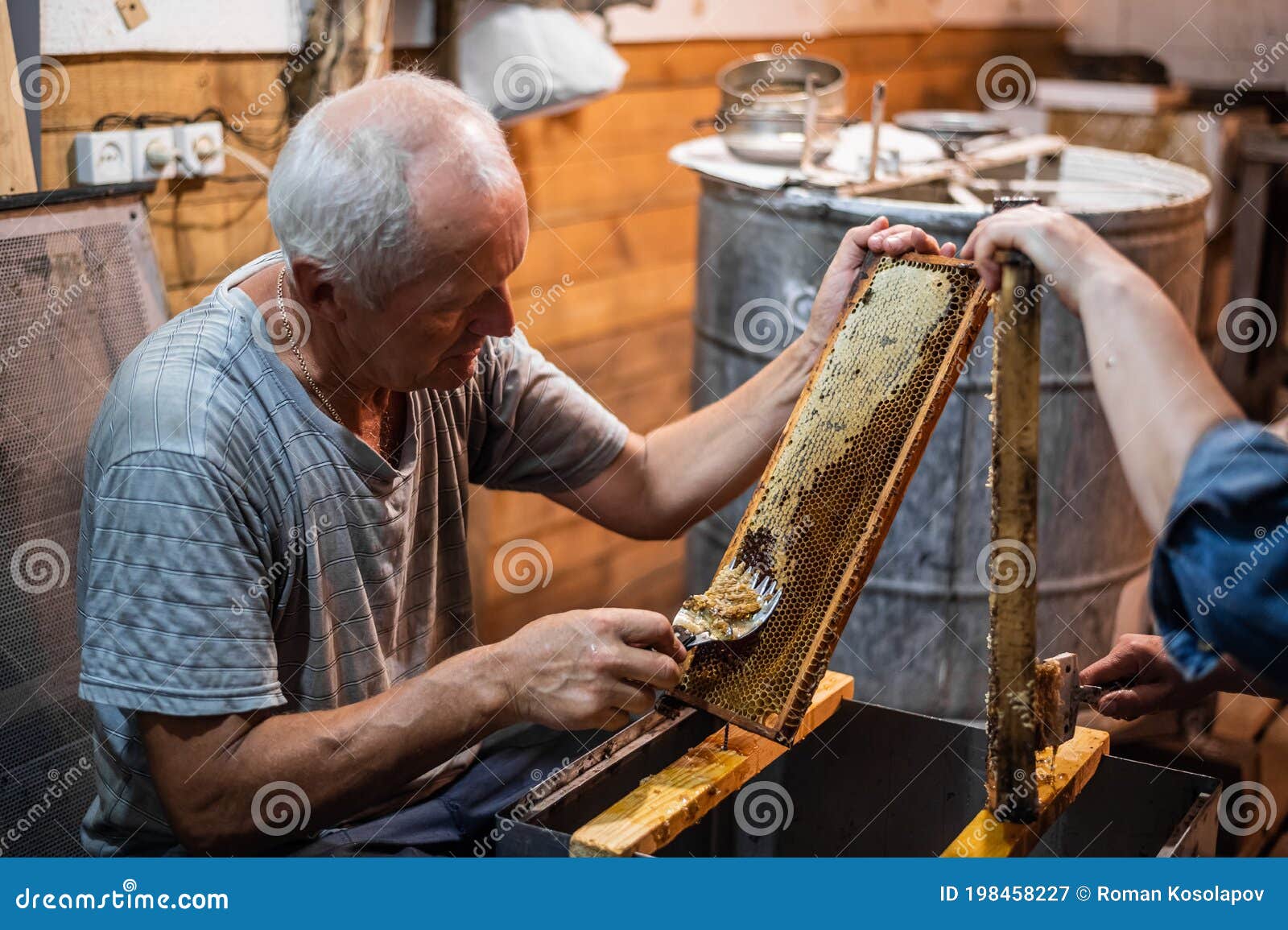 Beekeeper Uncapping Honey Cells on the Hive Frames with a Uncapping ...