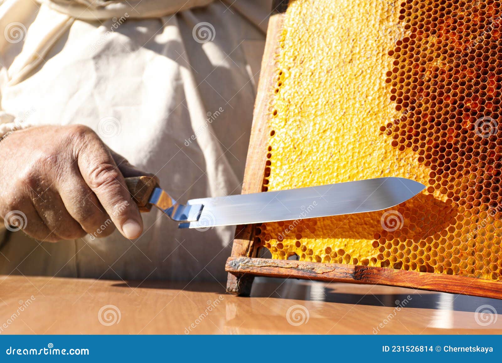 Beekeeper Uncapping Honeycomb Frame with Knife at Table, Closeup Stock ...