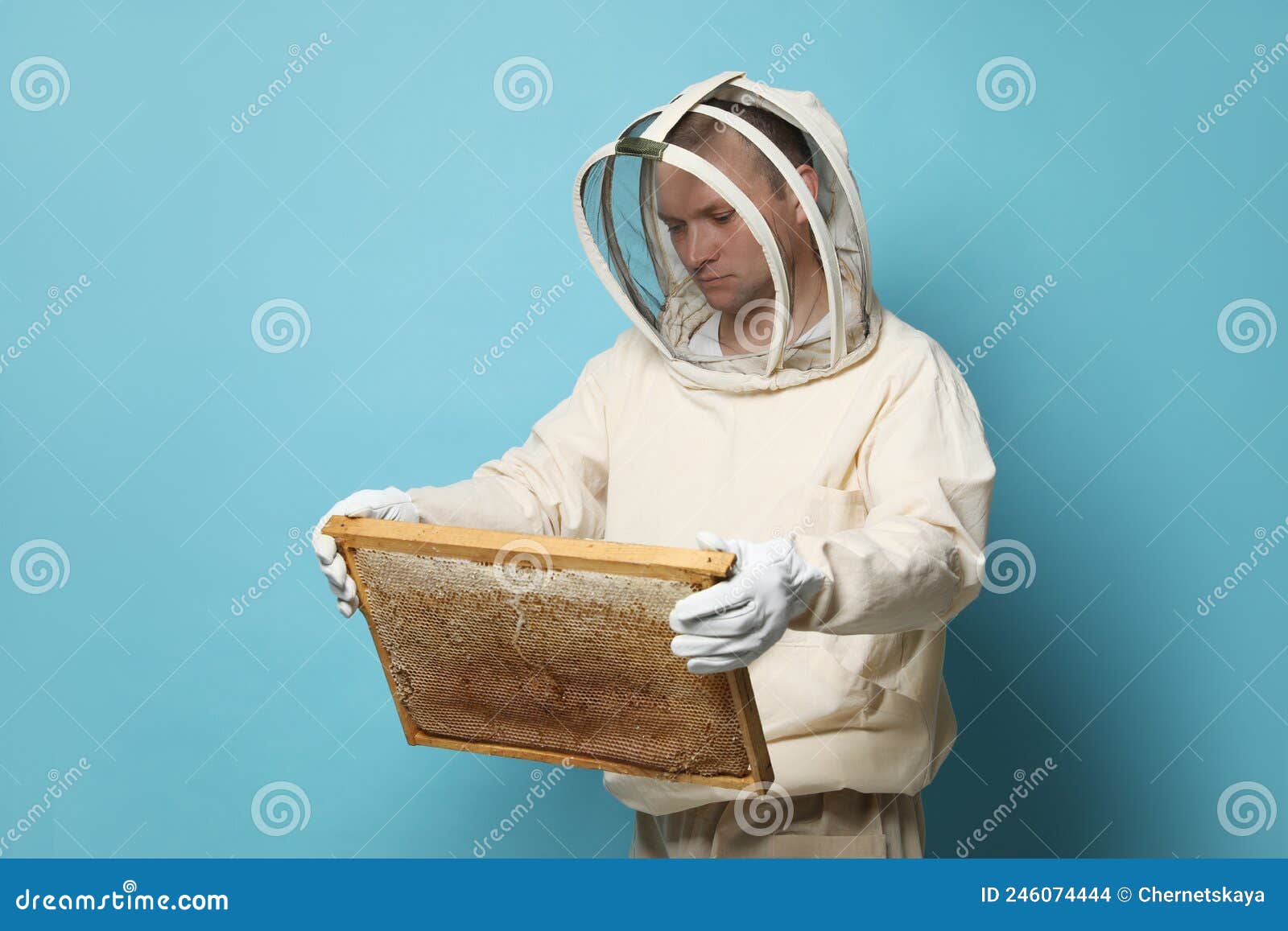 Beekeeper in Uniform Holding Hive Frame with Honeycomb on Light Blue ...