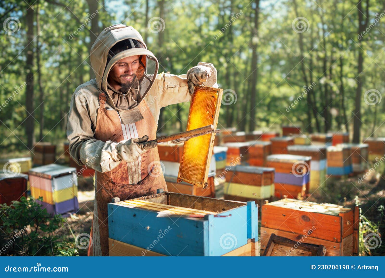 The Beekeeper Uses a Bee Brush. the Process of Harvest Honey in the ...