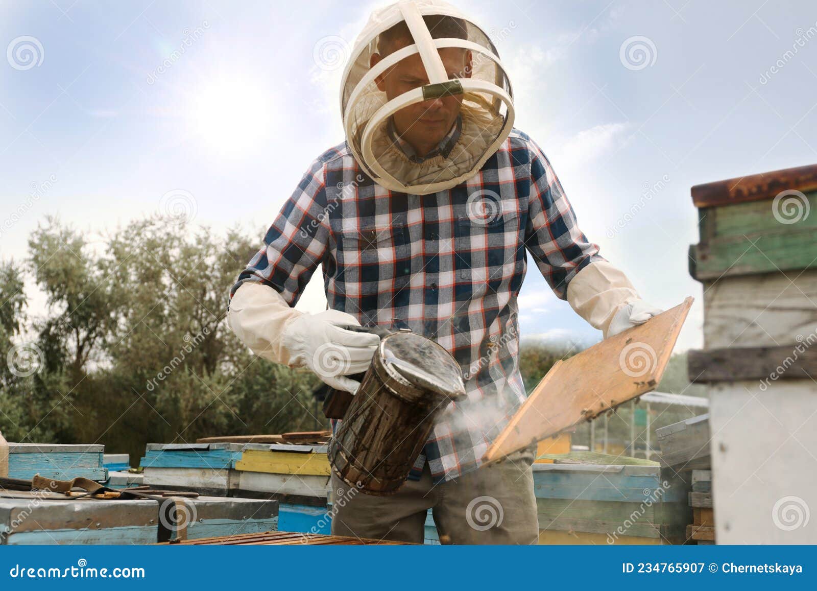 A Beekeeper Is Using A Blower, Blowing Air Inside The Hive Full Of ...