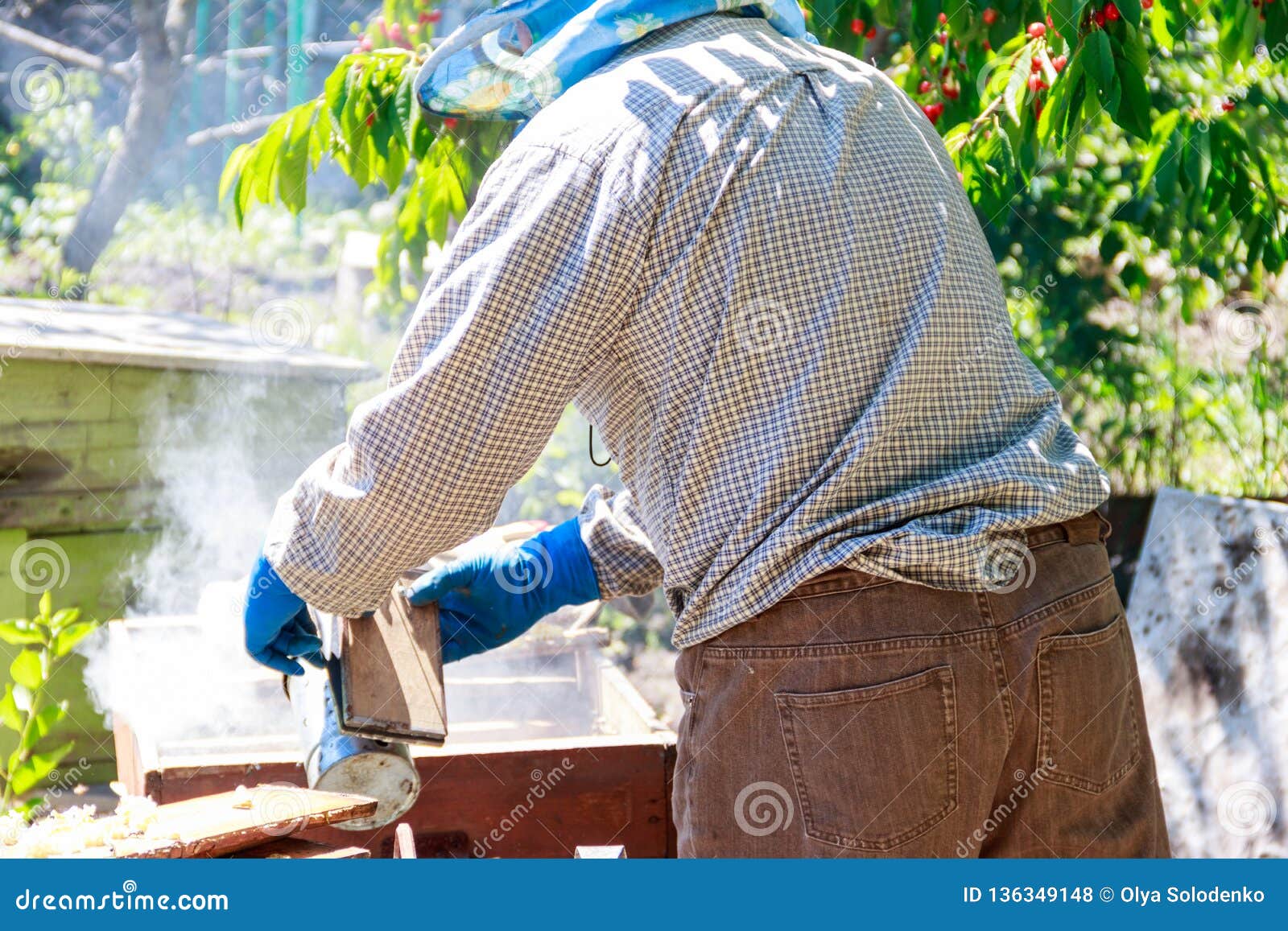 Beekeeper Using a Bee Smoker To Calm Down Bees Stock Photo - Image of ...