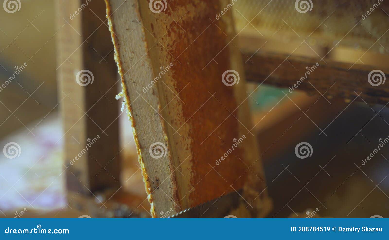 The Beekeeper Using a Knife Prints Honeycombs with Nesting Frames. Stock Video - Video of ...