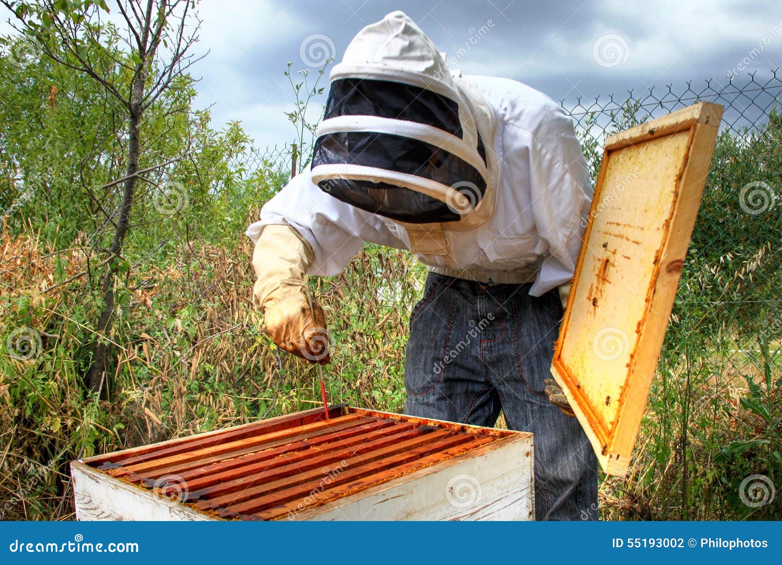Beekeeper stock photo. Image of producer, apiculturist - 55193002