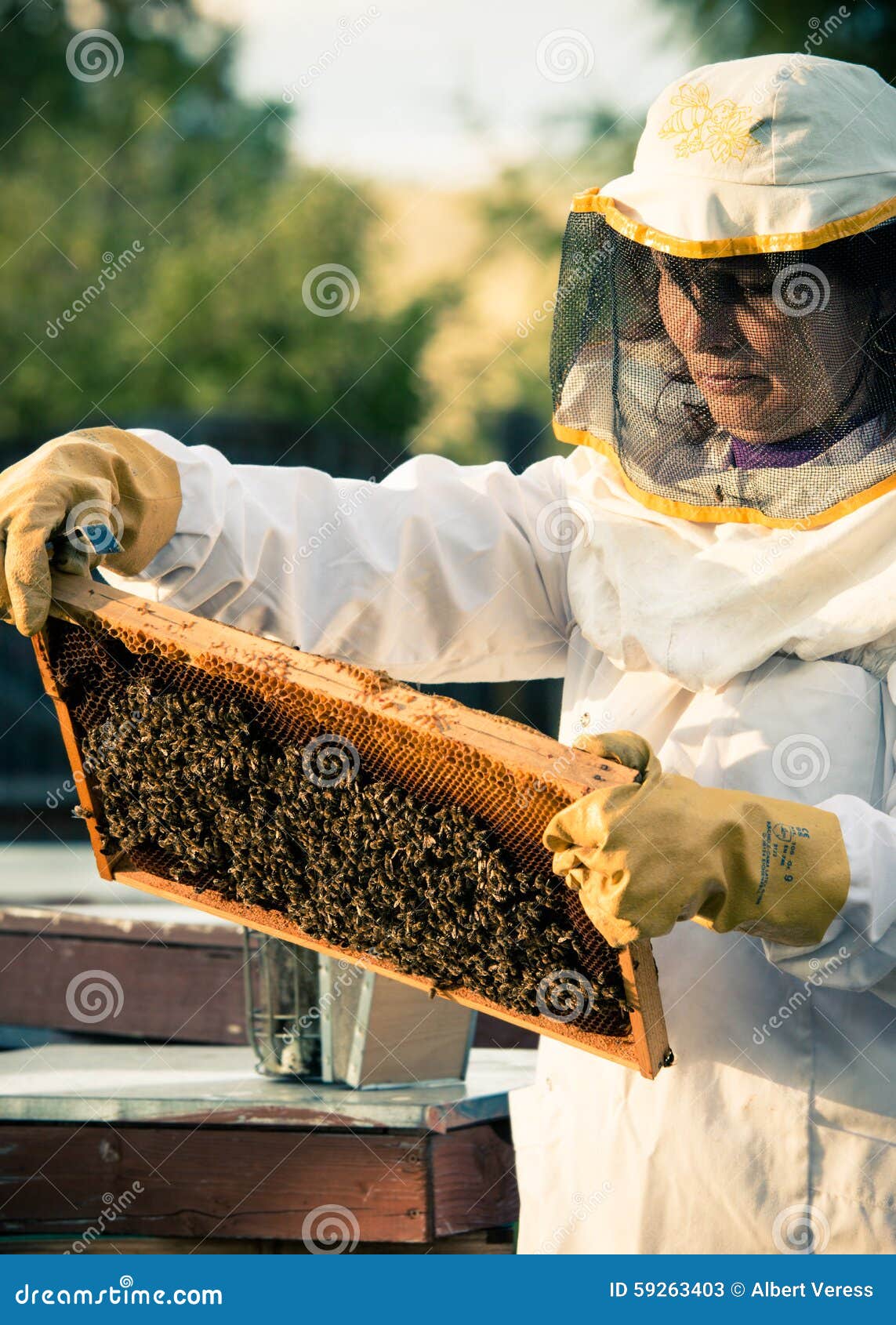 Beekeeper stock image. Image of person, metal, woman - 59263403