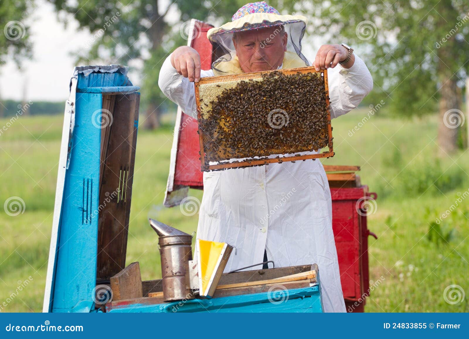 Beekeeper at work stock image. Image of beekeeping, beehive - 24833855