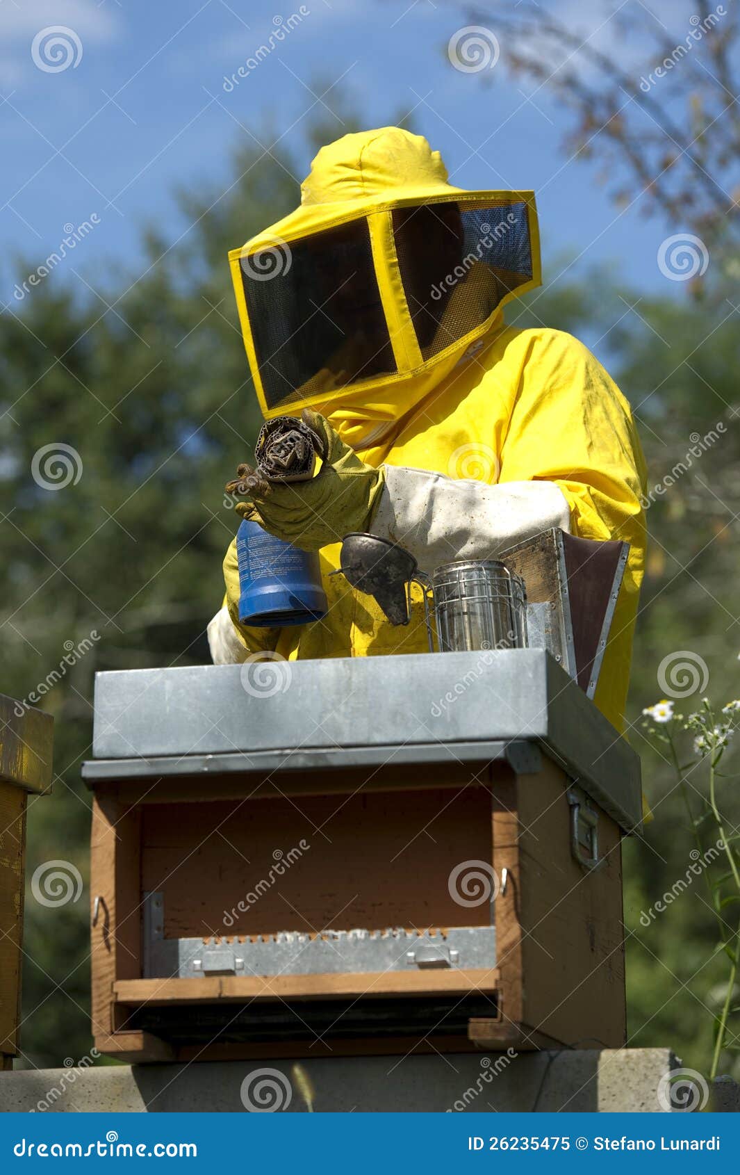 Beekeeper at Work stock image. Image of apiary, outdoors - 26235475