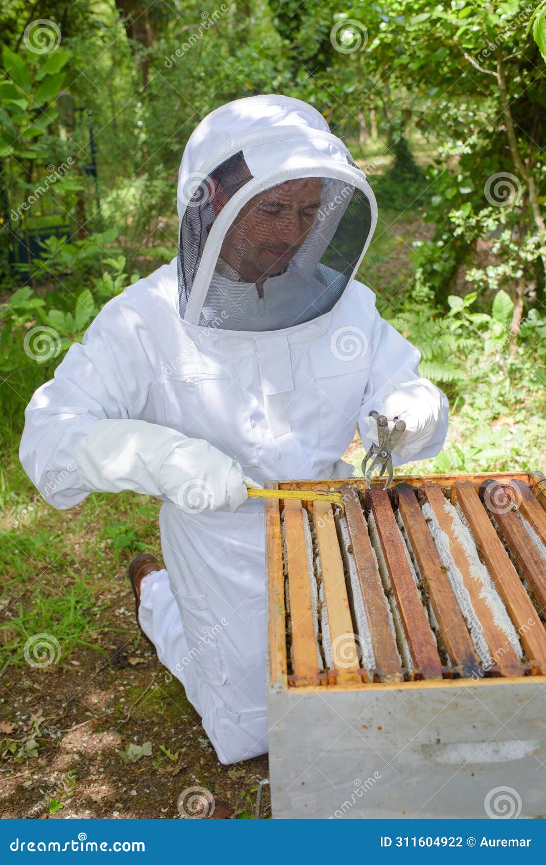 Beekeeper at work stock photo. Image of production, handsome - 311604922