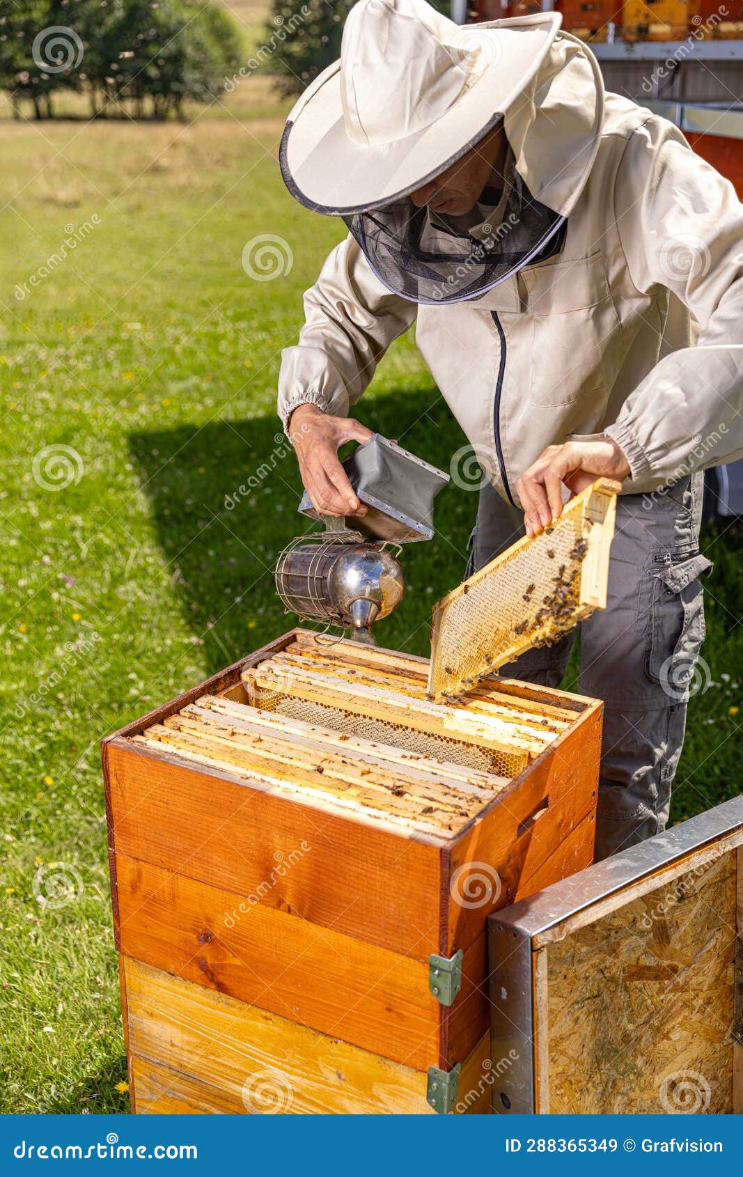 Beekeeper at Work: a Beekeeper Using Bee Smoker Stock Image - Image of ...
