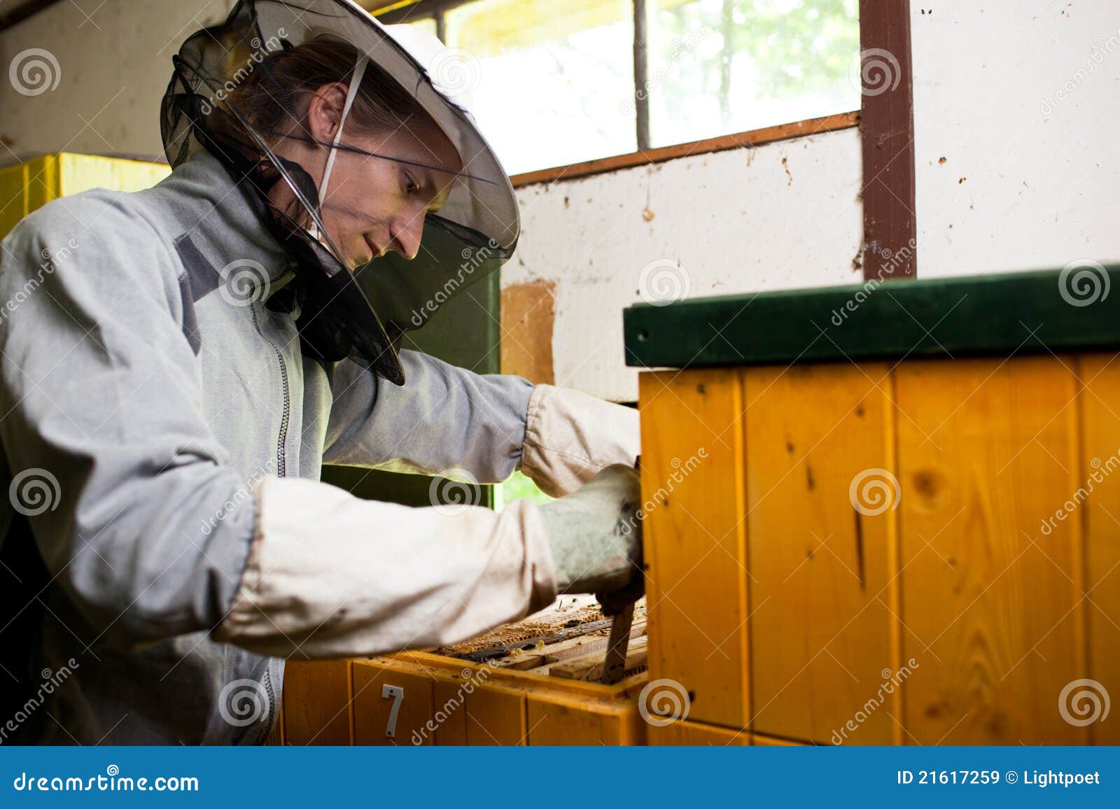 Beekeeper Working in an Apiary Stock Image - Image of domesticated ...