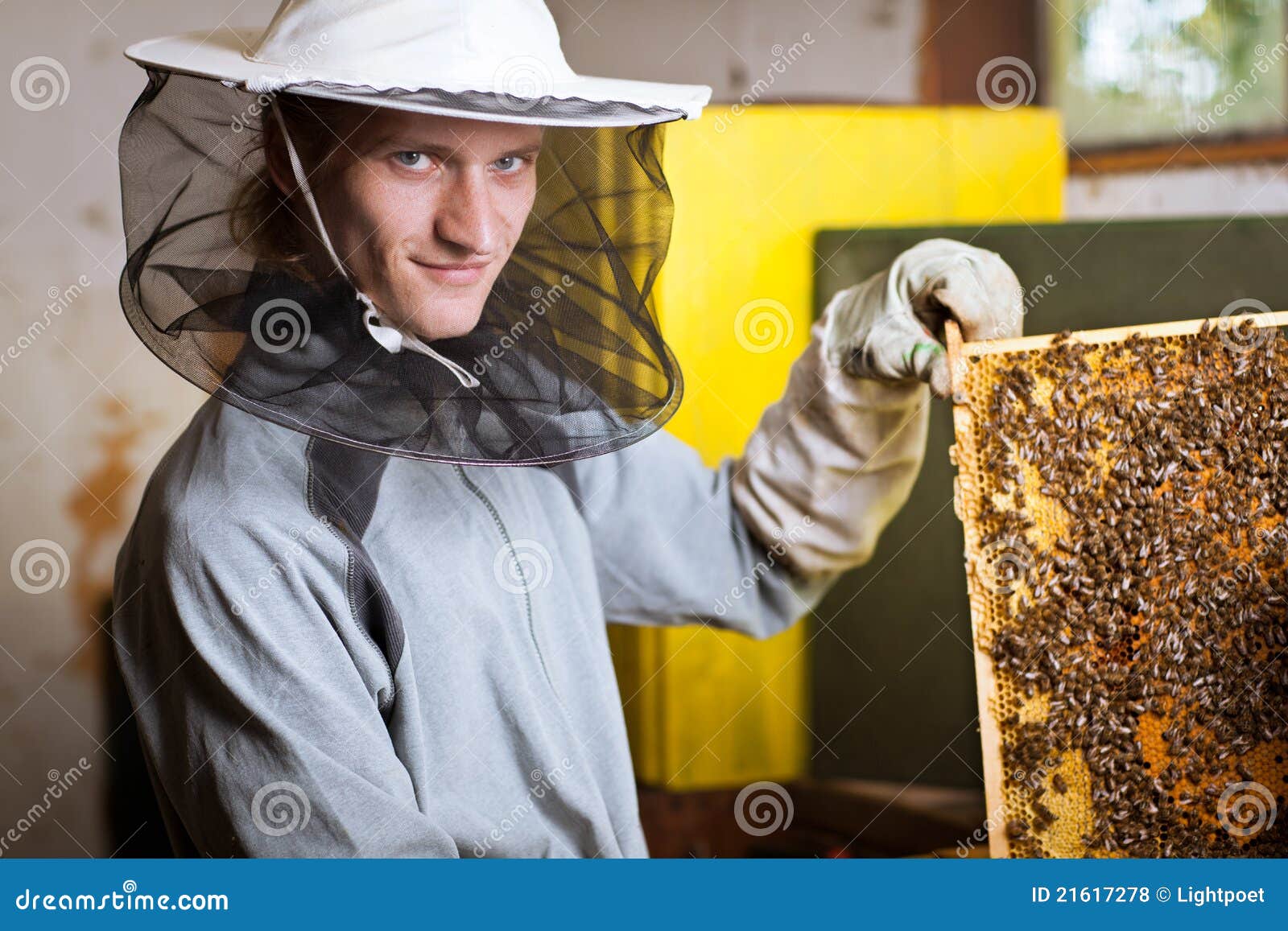 Beekeeper Working in an Apiary Stock Photo - Image of honeycomb ...