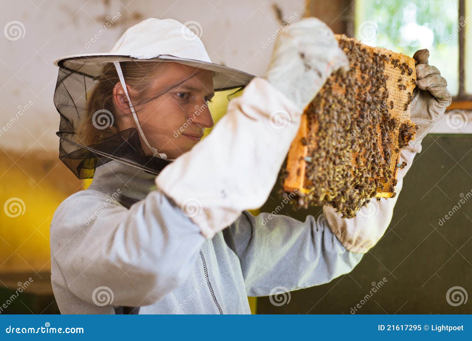 Beekeeper Working in an Apiary Stock Image - Image of honey, beehive ...