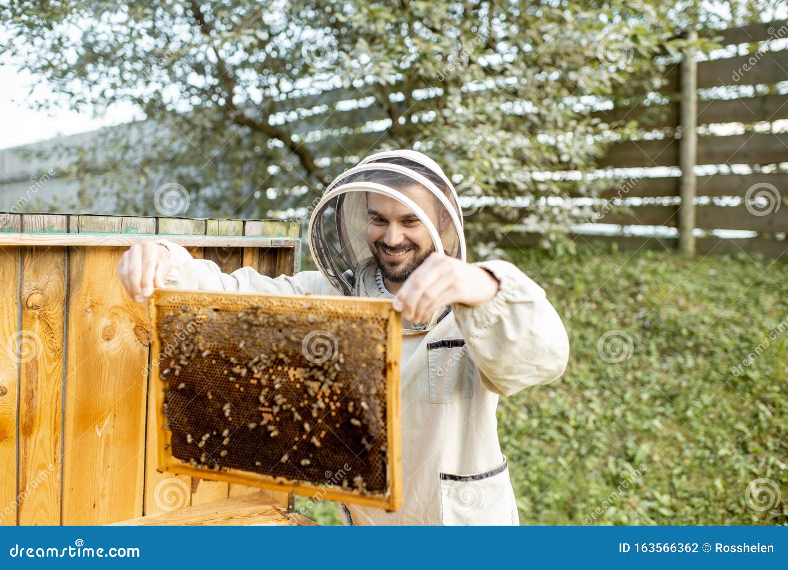 Beekeeper Working on the Apiary Stock Photo - Image of nature ...