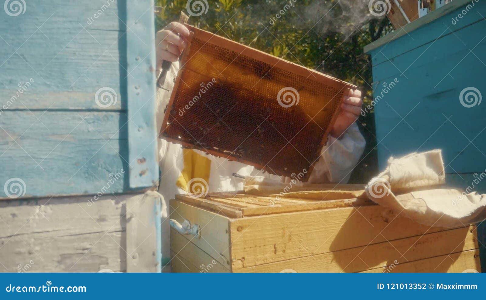The Beekeeper Working in the Apiary Bees Fly Swarm Multi Colored ...