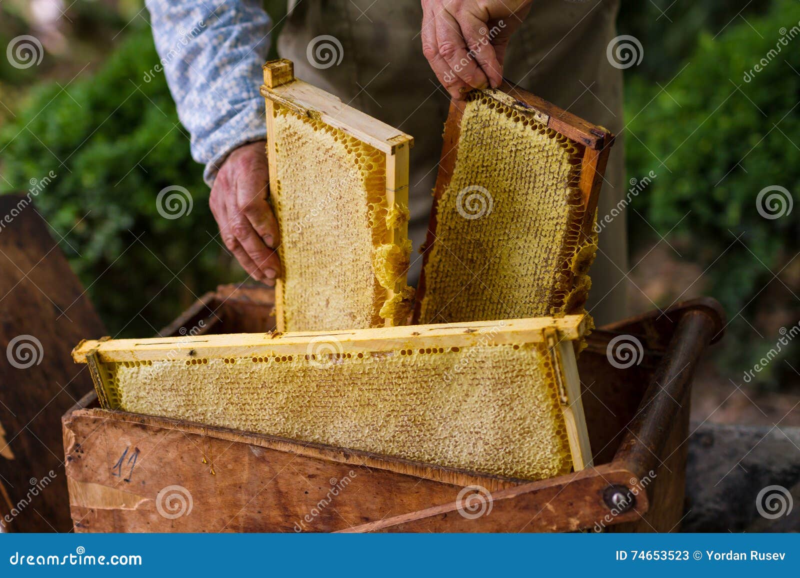 Beekeeper Working on Bee Hive Stock Image - Image of food, nature: 74653523