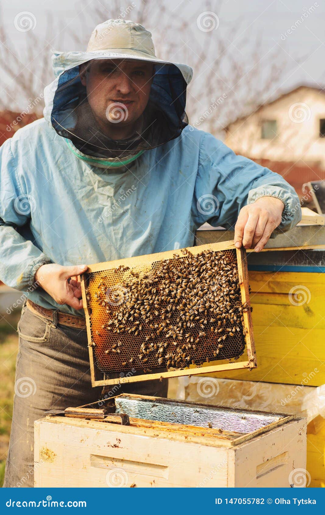 Beekeeper is Working with Bees and Beehives on the Apiary Stock Photo ... Beekeeper is Working with Bees and Beehives on the Apiary Stock Photo ...