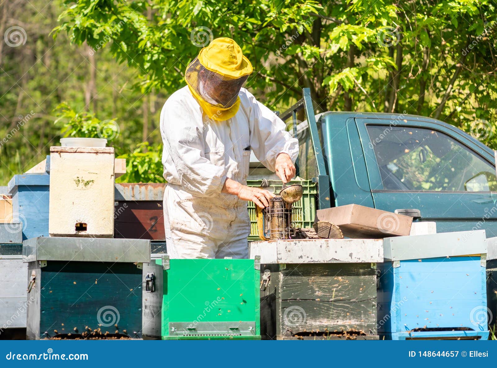 Beekeeper is Working with Bees and Beehives on the Apiary Stock Image ...