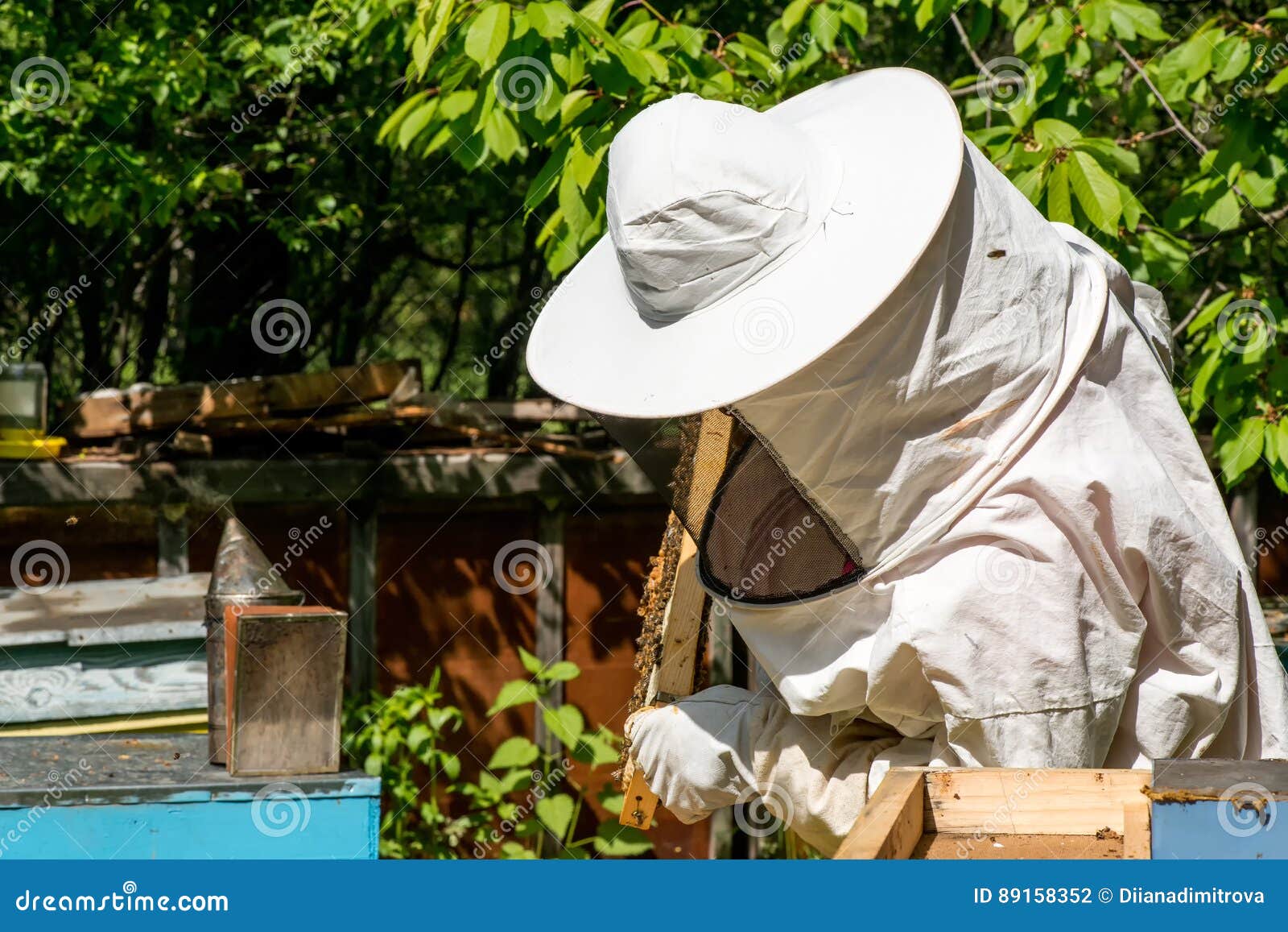 Beekeeper Working on His Beehives in the Garden Stock Photo - Image of ...