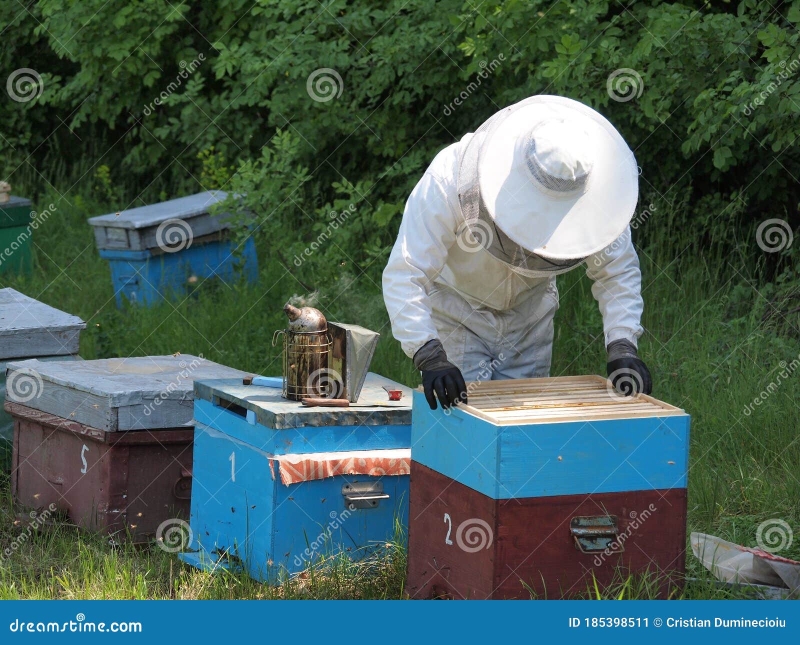 Beekeeper working on hives stock image. Image of apiculture - 185398511