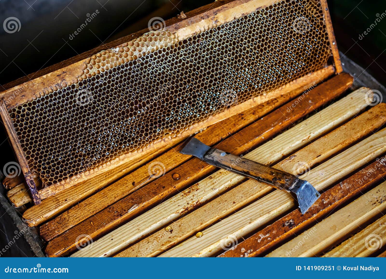 Beekeeper Working Tools on the Hive. Beekeeping Equipment on the Old ...