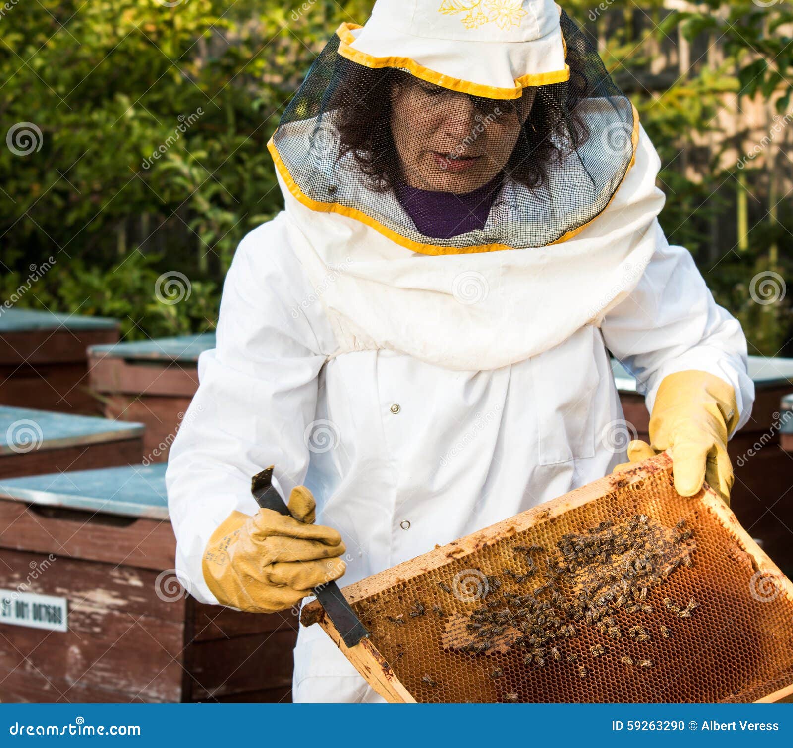 Beekeeper, Woman And Protective Suit In Portrait, Happy And Outddor ...