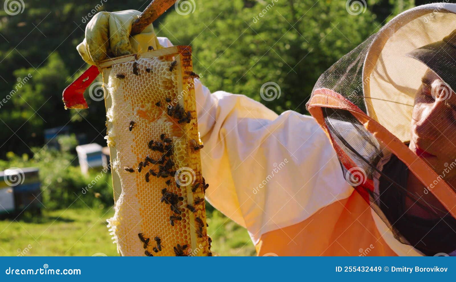 Beekeeper Works in an Apiary with a Beehive Stock Video - Video of ...
