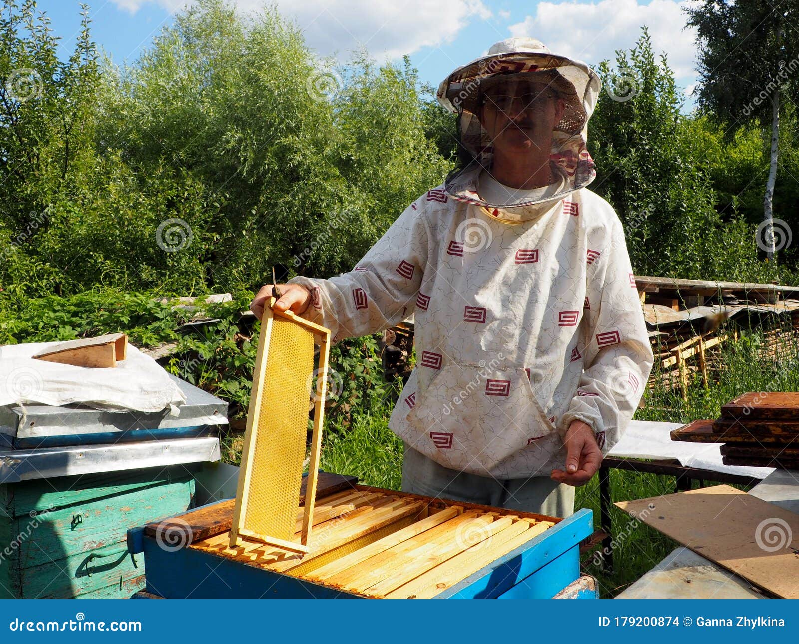 Beekeeper Works in the Apiary Stock Photo - Image of person, honeycomb ...
