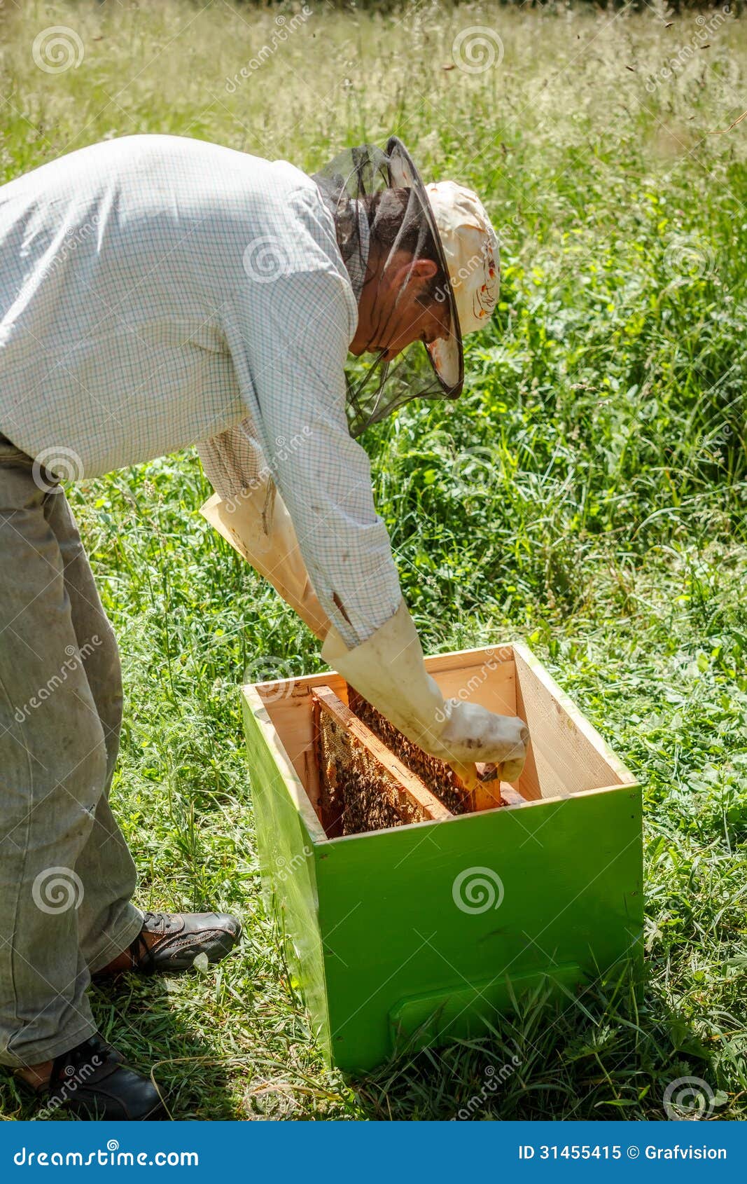Beekeeper stock image. Image of organic, male, larva - 31455415