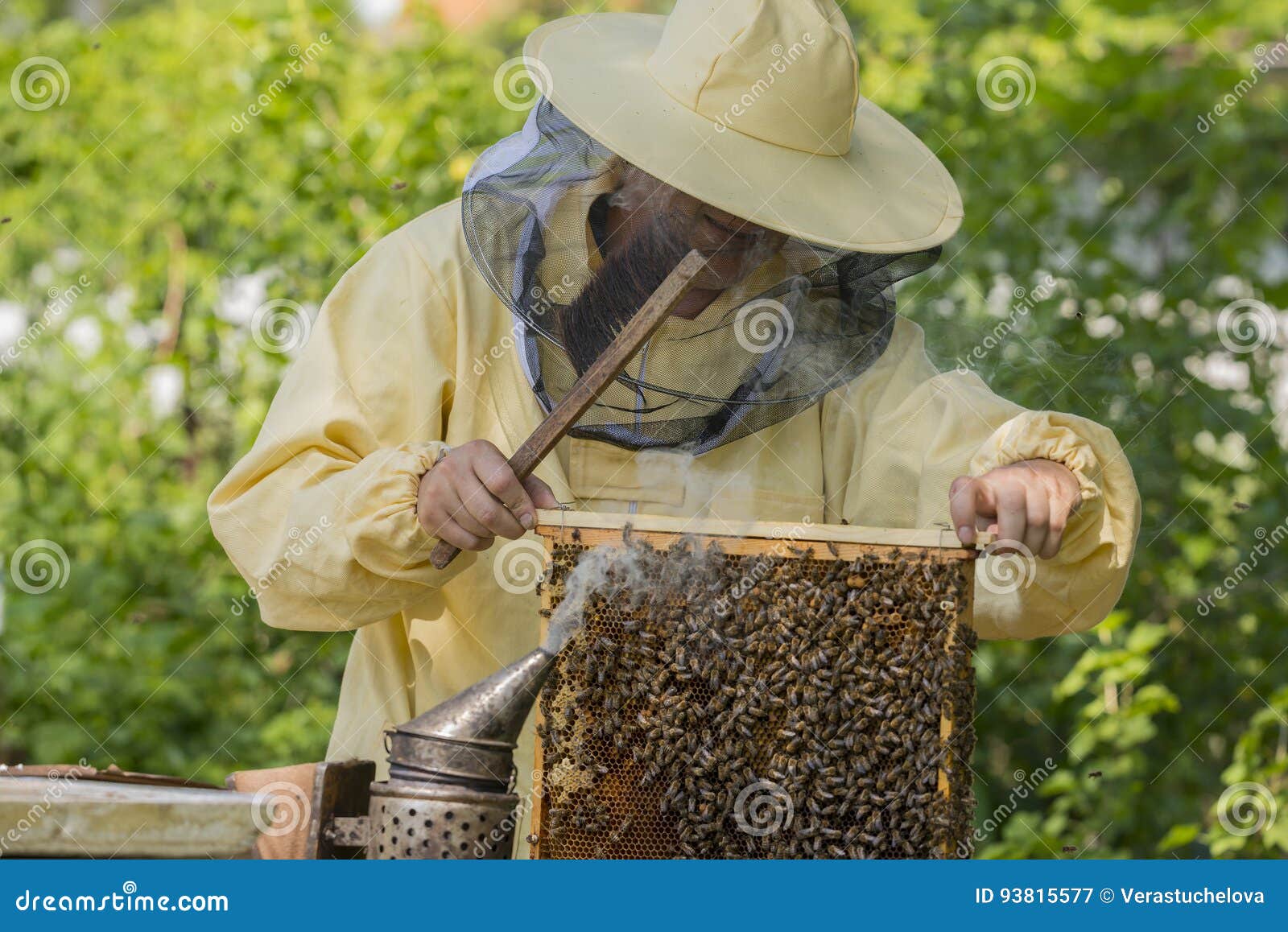 Beekeeper Works With Bees And Bee Hive Frames. Hives Stand In Apple ...