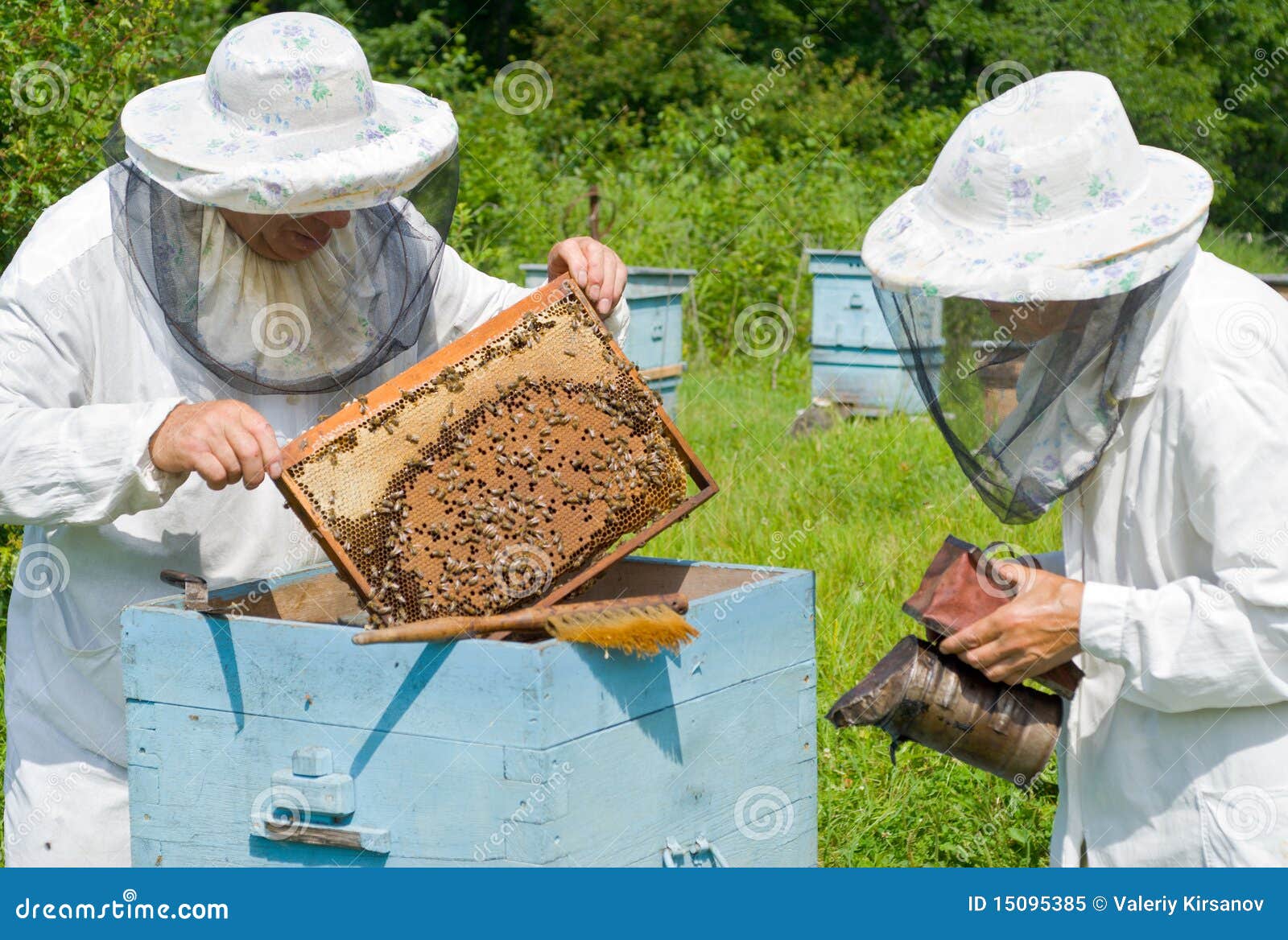 Beekeepers at hive 2 stock image. Image of outdoors, hymenopter - 15095385