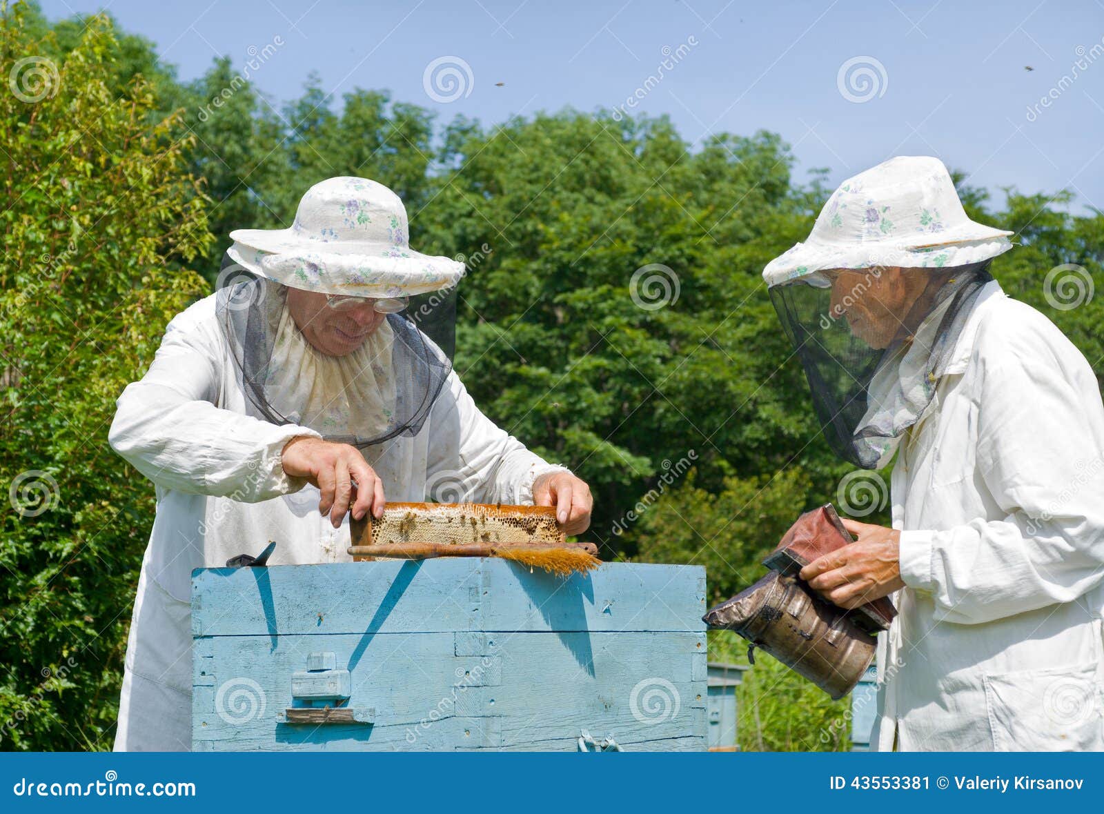 Beekeepers Hive 1 Stock Photos - Free & Royalty-Free Stock Photos from ...