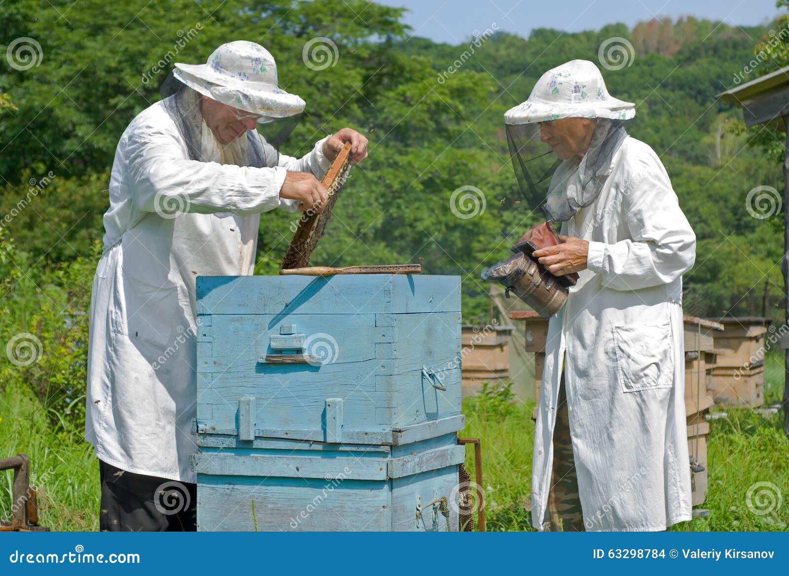 Beekeepers at hive 10 stock photo. Image of nature, craft - 63298784