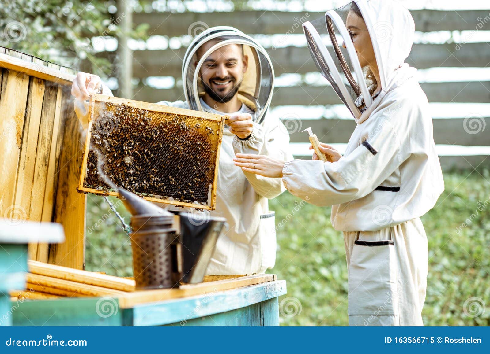 Beekeepers Working on the Apiary Stock Image - Image of people, white ...