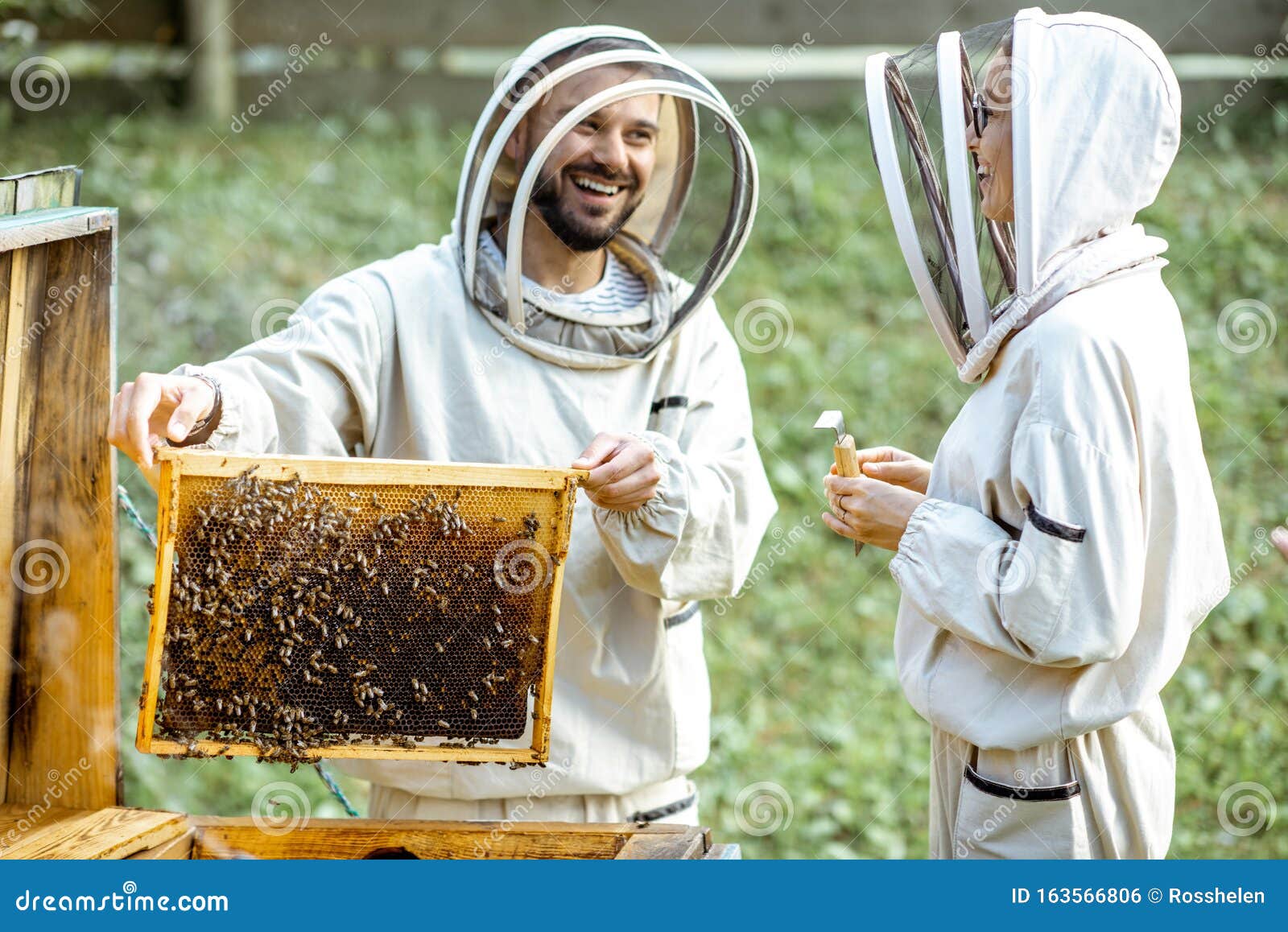 Beekeepers Working on the Apiary Stock Photo - Image of beeswax ...
