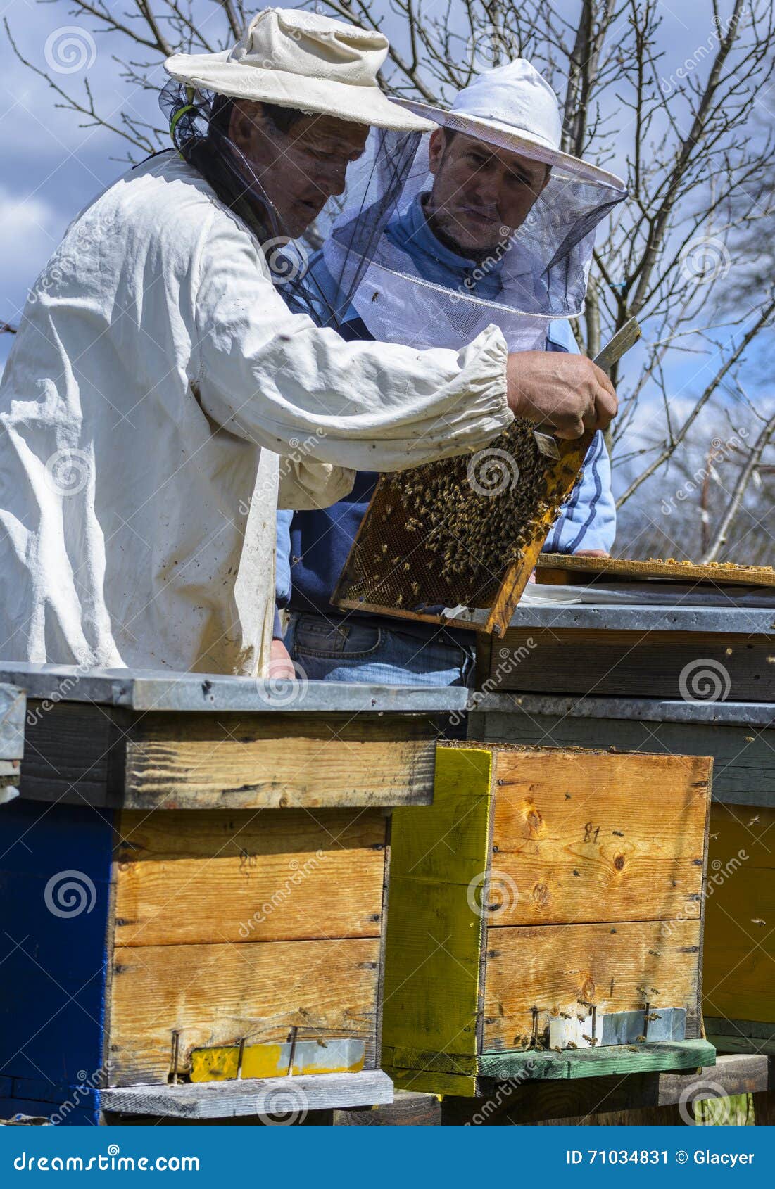 Beekeepers Working on Beehives Stock Image - Image of cell ...