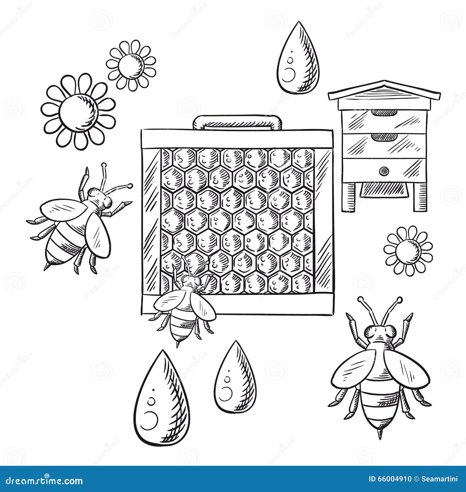 Beekeeping and Apiary Sketched Objects Stock Vector - Illustration of ...