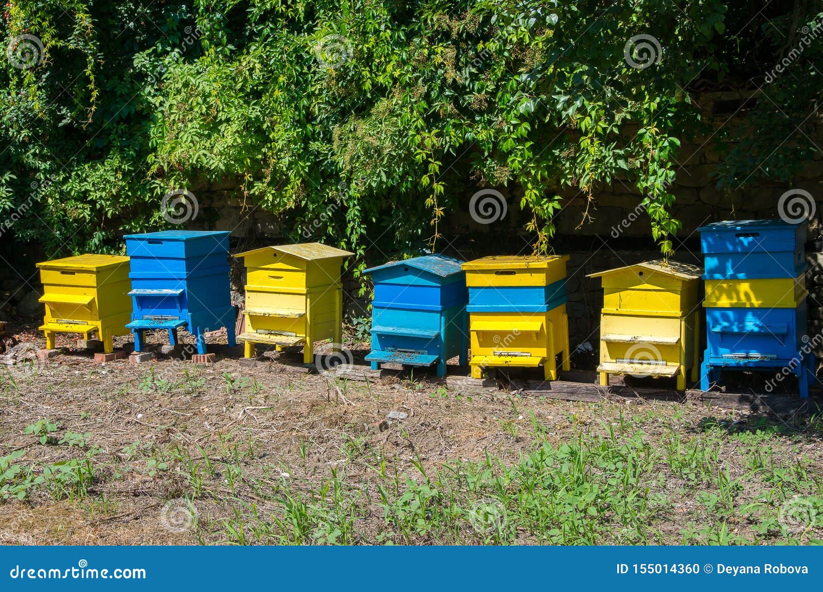 Beekeeping. Bee Hives in the Garden. Stock Photo - Image of ecology ...