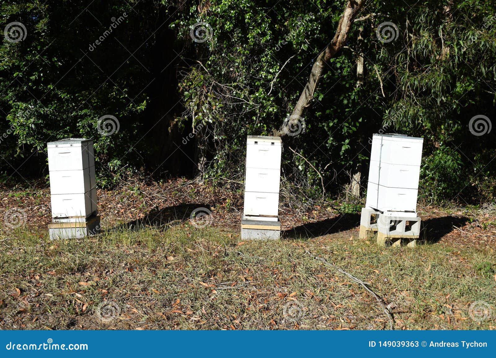 Three Beehive Stacks Front View Stock Image - Image of front, group ...