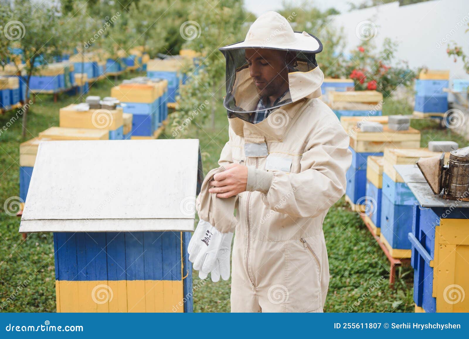 Beekeeping, Beekeeper at Work, Bees in Flight. Stock Image - Image of ...