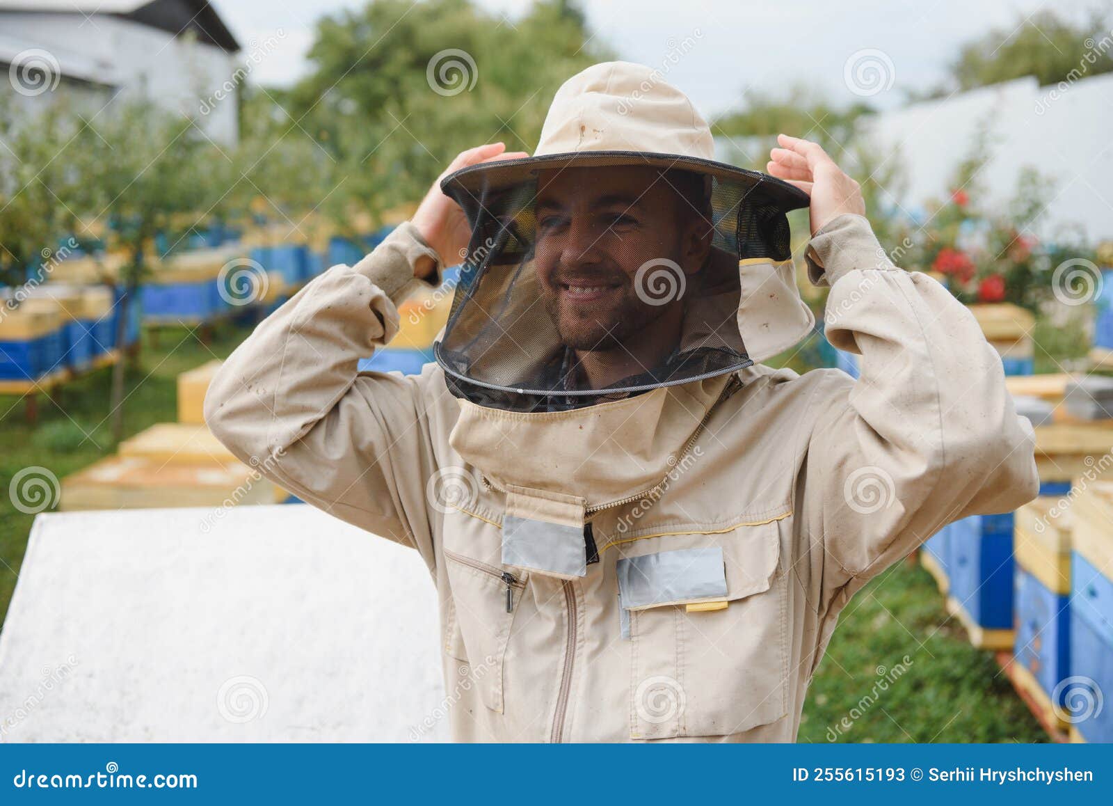 Beekeeping, Beekeeper at Work, Bees in Flight. Stock Image - Image of ...