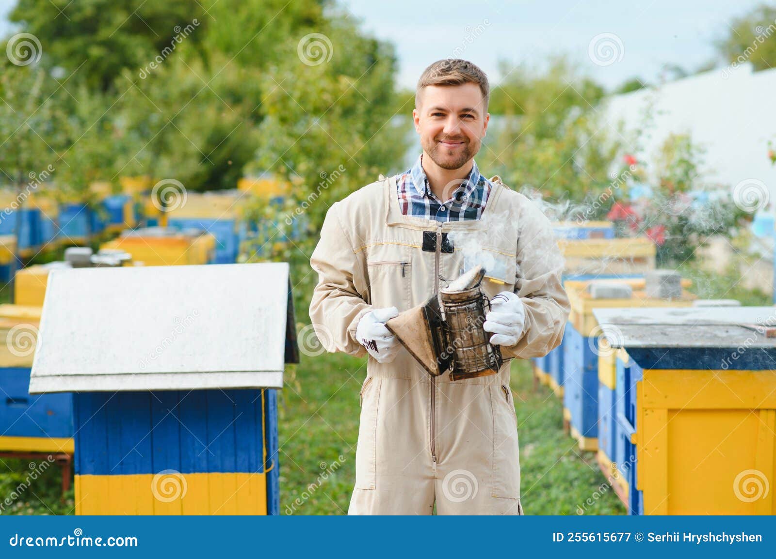 Beekeeping, Beekeeper at Work, Bees in Flight. Stock Image - Image of ...