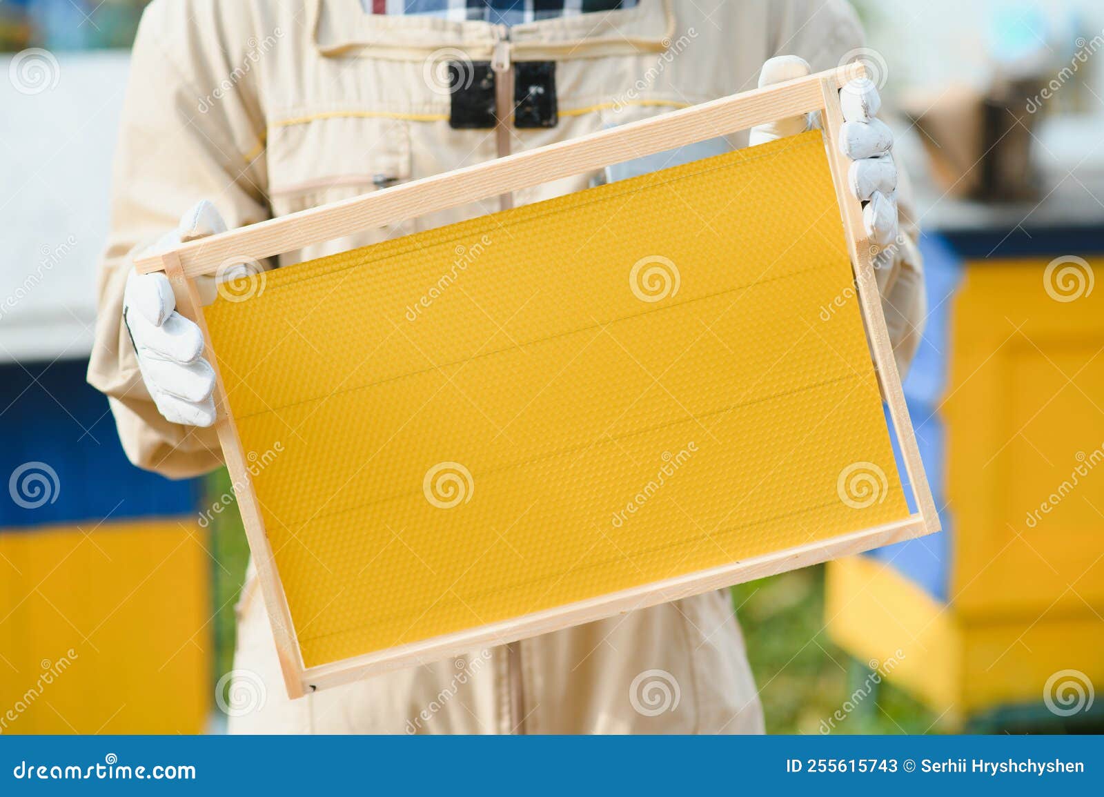 Beekeeping, Beekeeper at Work, Bees in Flight. Stock Image - Image of ...