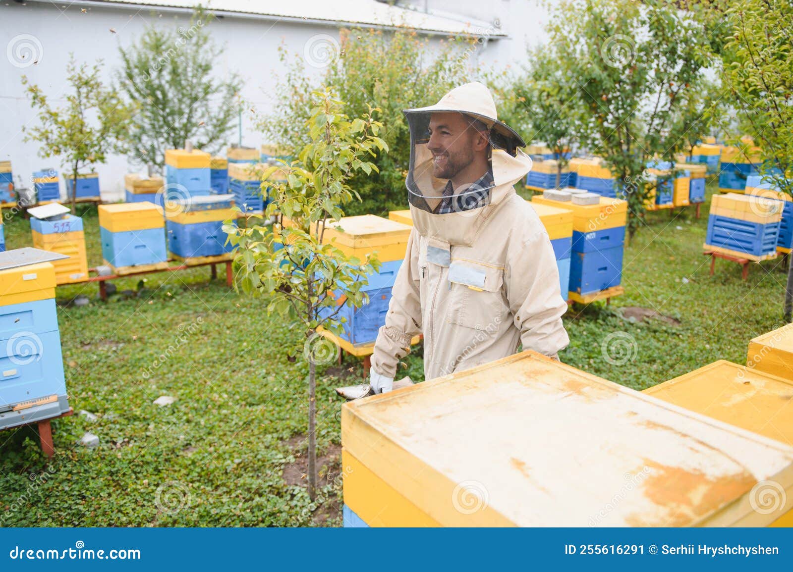 Beekeeping, Beekeeper at Work, Bees in Flight. Stock Image - Image of ...