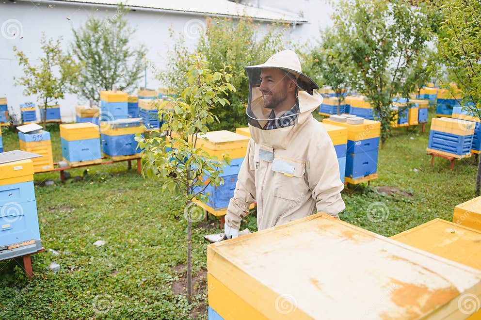 Beekeeping, Beekeeper at Work, Bees in Flight. Stock Image - Image of beeswax, food: 255616291