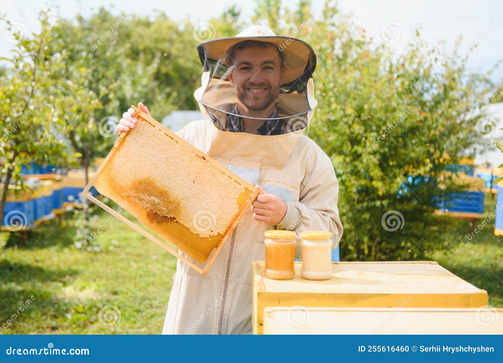 Beekeeping, Beekeeper at Work, Bees in Flight. Stock Photo - Image of ...