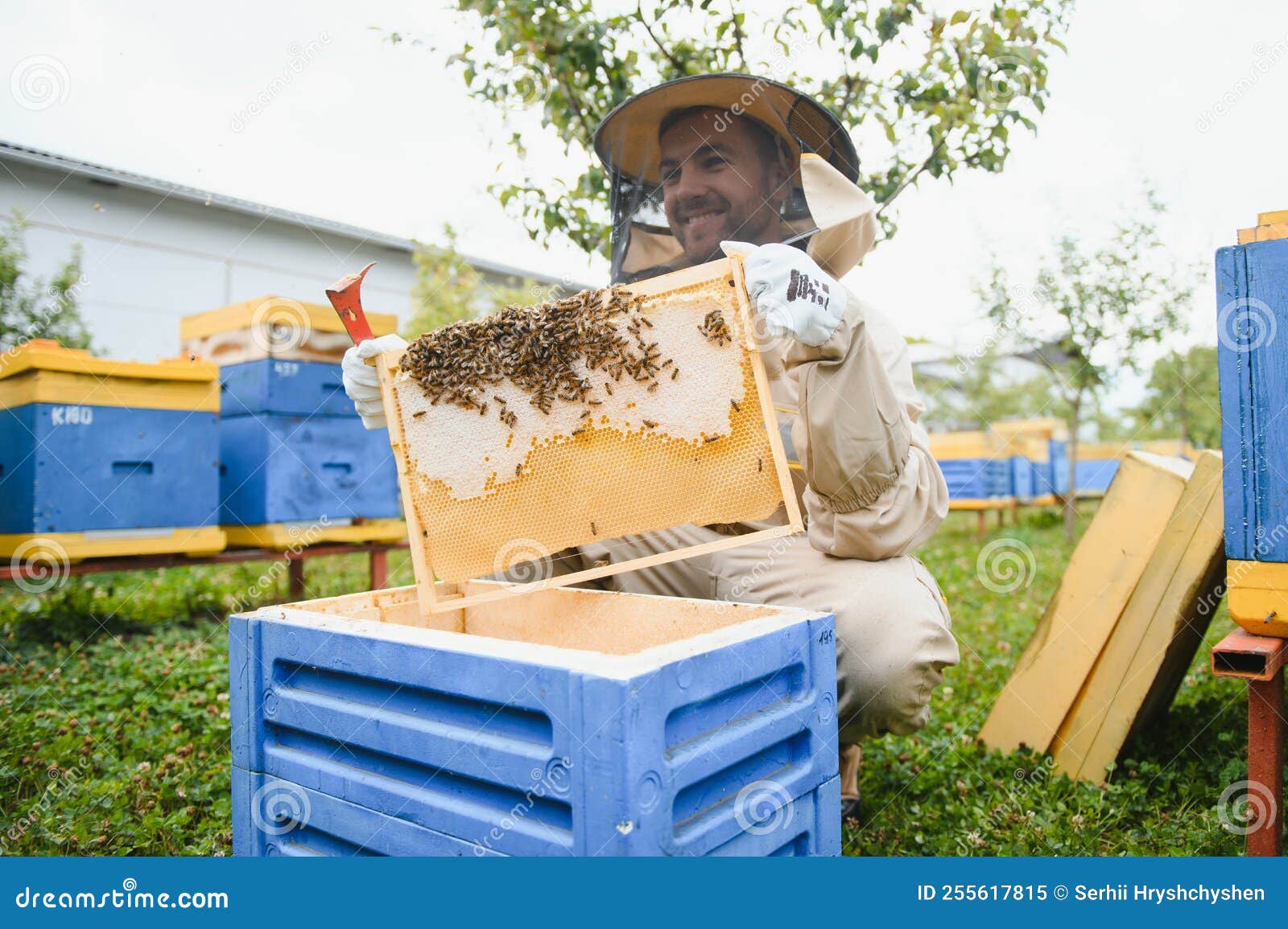 Beekeeping, Beekeeper at Work, Bees in Flight. Stock Image - Image of ...