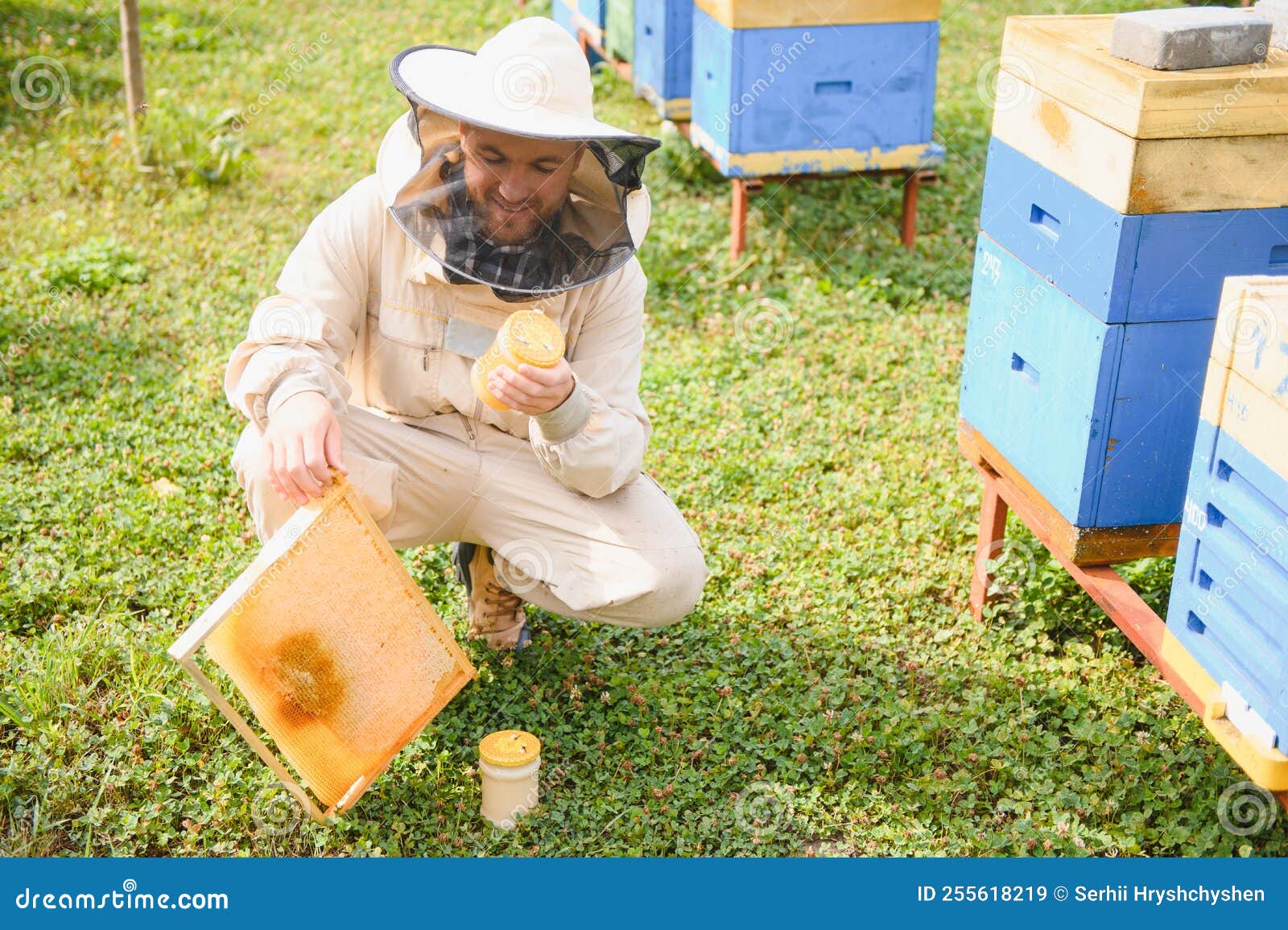 Beekeeping, Beekeeper at Work, Bees in Flight. Stock Image - Image of hand, green: 255618219