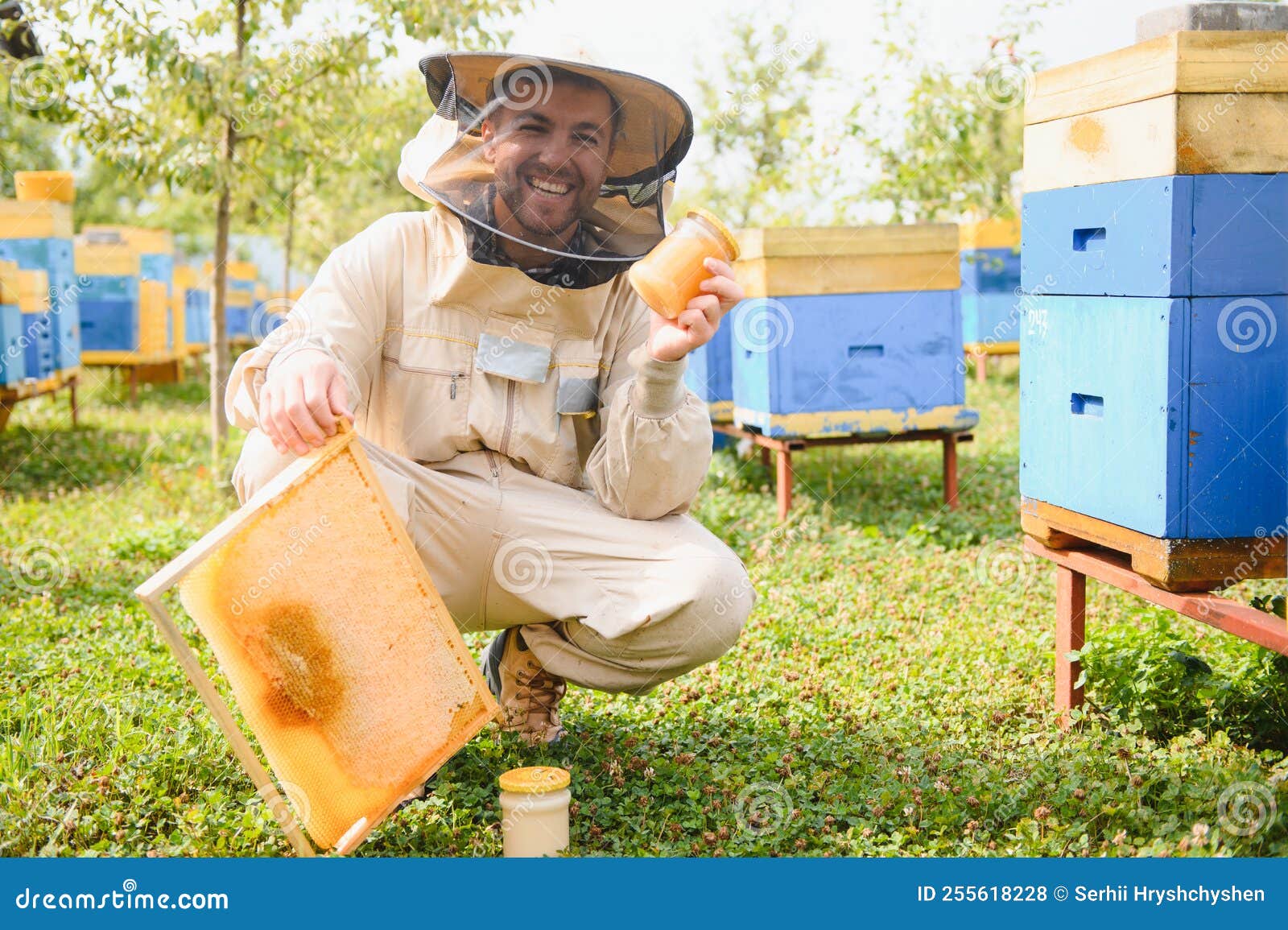 Beekeeping, Beekeeper at Work, Bees in Flight. Stock Photo - Image of colony, apiculture: 255618228