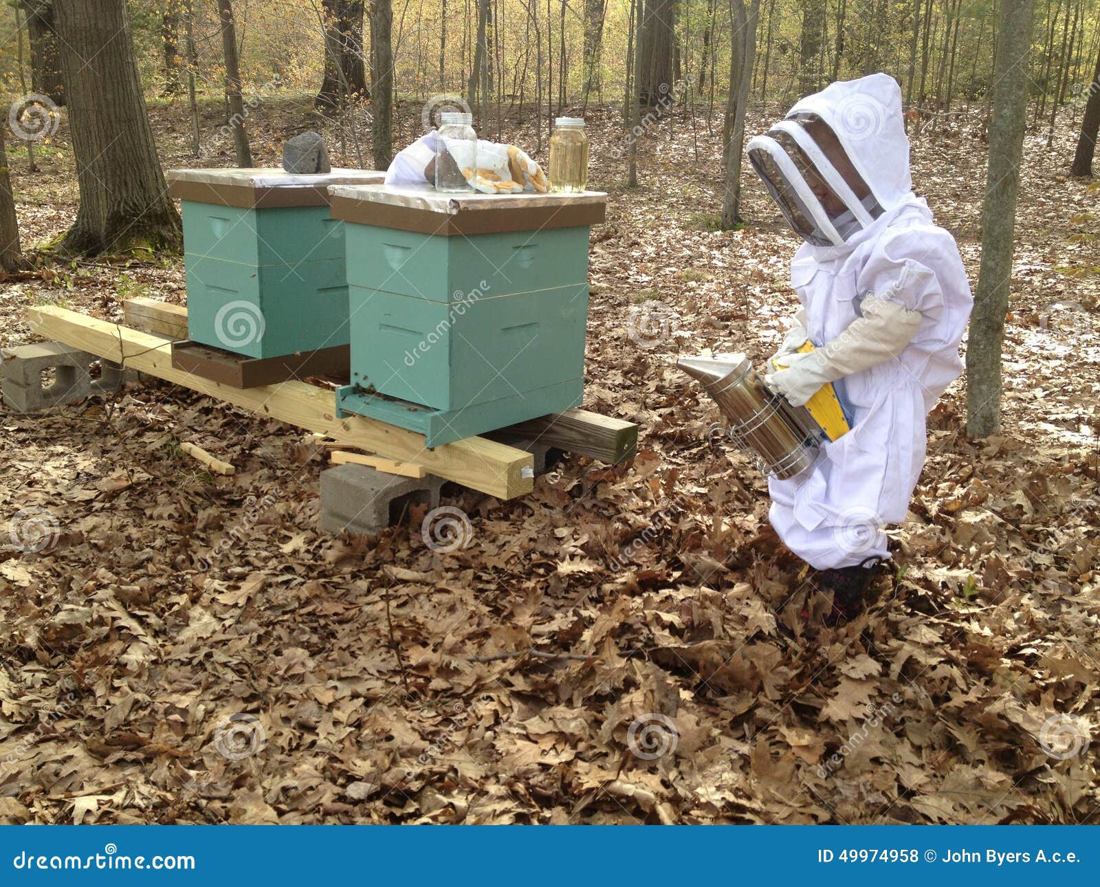 Beekeeping child editorial stock photo. Image of children - 49974958